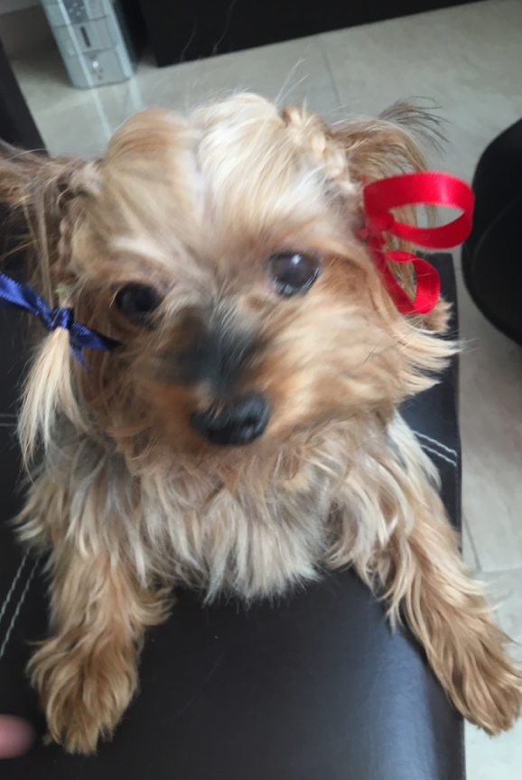 kayla-duran-peralta5 | Pet Forever