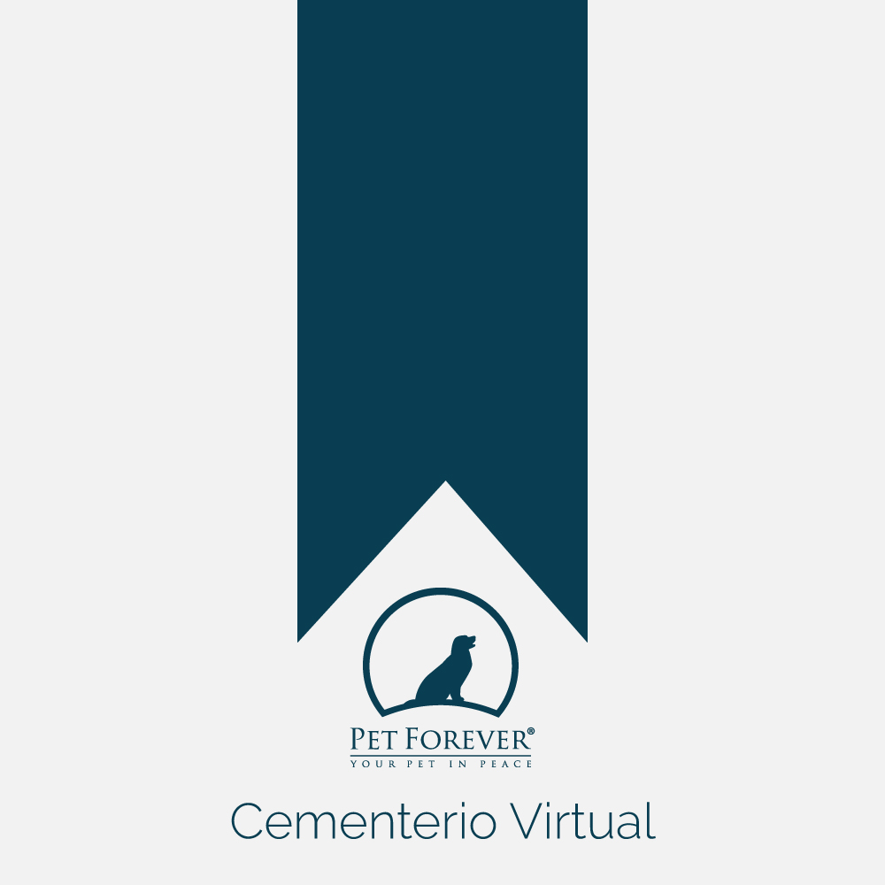 placeholder-cem-v | Pet Forever