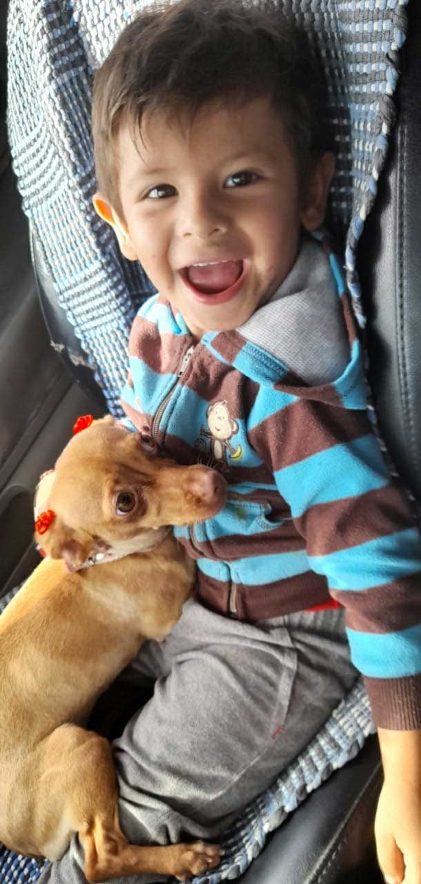 Princess Gutiérrez Lee Chong | Pet Forever