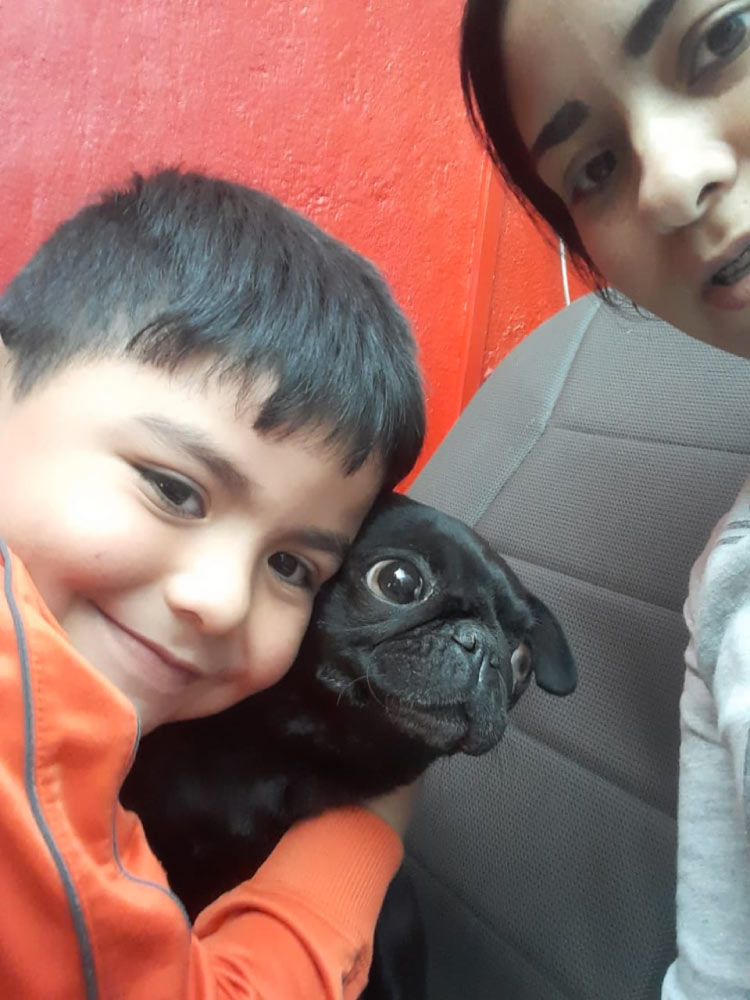 negris-g6 | Pet Forever