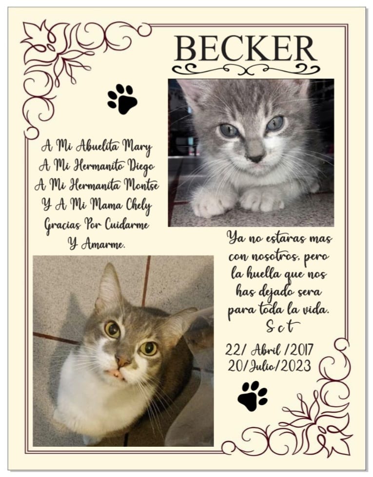 BECKER | Pet Forever